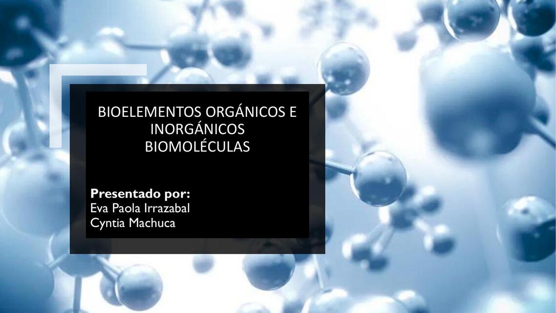 Bioelementos Biomoleculas | Monse Gauto | uDocz