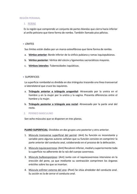 Anatomia del Perineo Rectal y del Ano | Manzanilla | uDocz