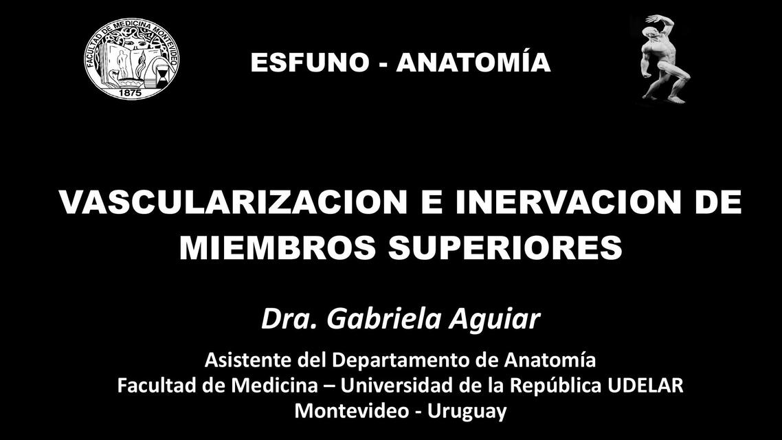 Vascularizacion e inervacion MMSS 485f7de2c | Agustina | uDocz