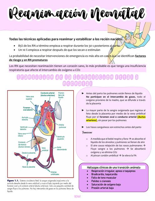 Resumen RENEO 8VA ED | Irlanda Herrera | uDocz