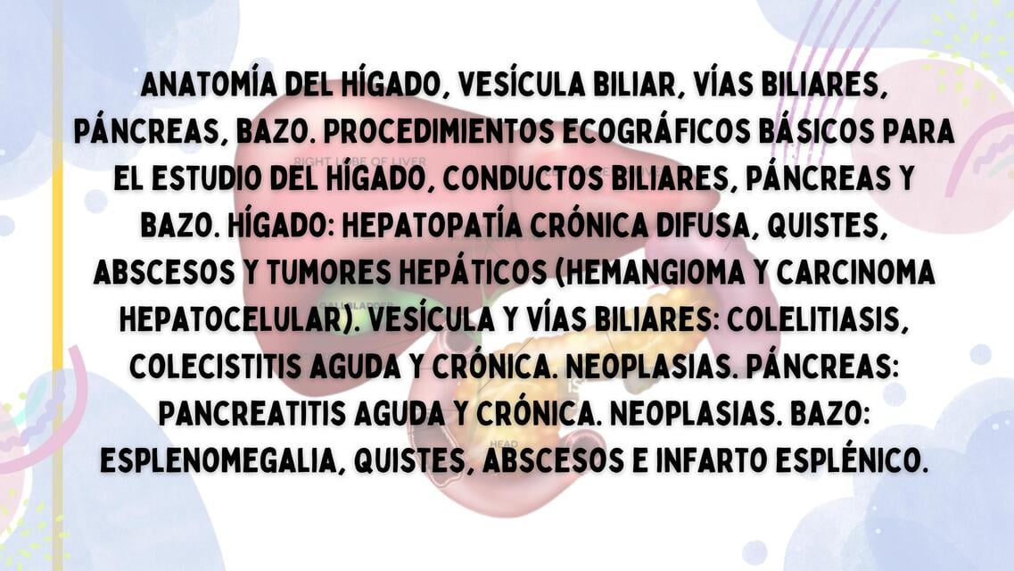ANATOMÍA ECOGRÁFICA DEL SISTEMA HEPATOBILIAR PÁNCR | JOE MAURICIO ...