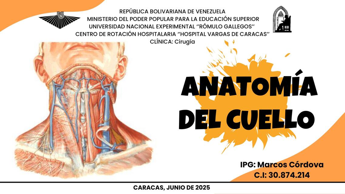 Anatomía de Cuello | Caroline Diaz | uDocz