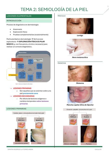 TEMA 2 SEMIOLOGÍA DE LA PIEL | alexis | uDocz