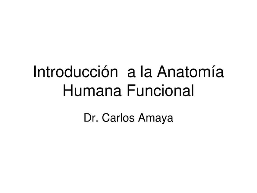Anatomía Humana Funcional Guia de Estudio | Deivid Ponce | uDocz