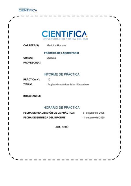 INFORME N7 PRACTICA N10 QUÍMICA docx | DANA | uDocz