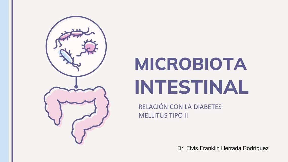 microbiota intestinal y relacion con DM2 | Franklin | uDocz