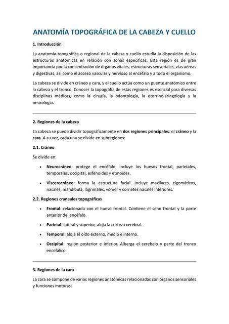 Anatomía topográfica de la cabeza y cuello | uDocz