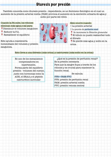 Diuresis por presión | Shirley Dayana Rueda Moncada | uDocz