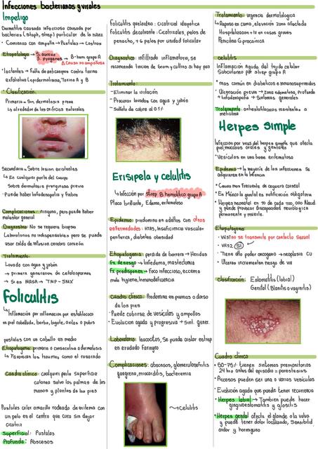 Derma infecciones bacteriales y virales - Apunte | Natalia Bernabe | uDocz