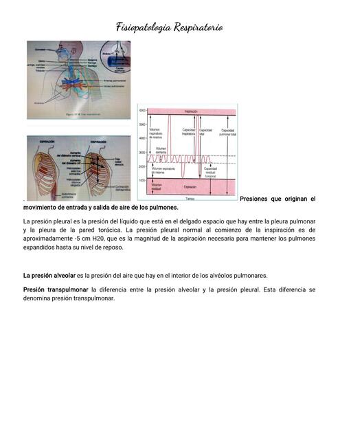 Fisiopatologia Respiratorio | Yos | uDocz