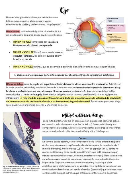 Ojo Histo | Good | uDocz