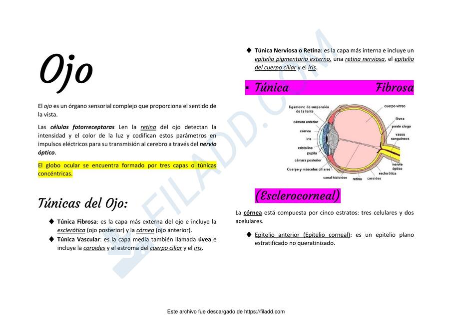 Ojo 1 | Good | uDocz