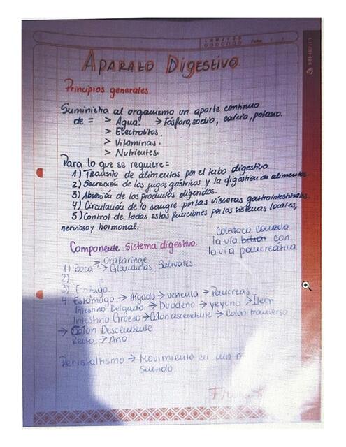 fisio | Catalina Acuña | uDocz