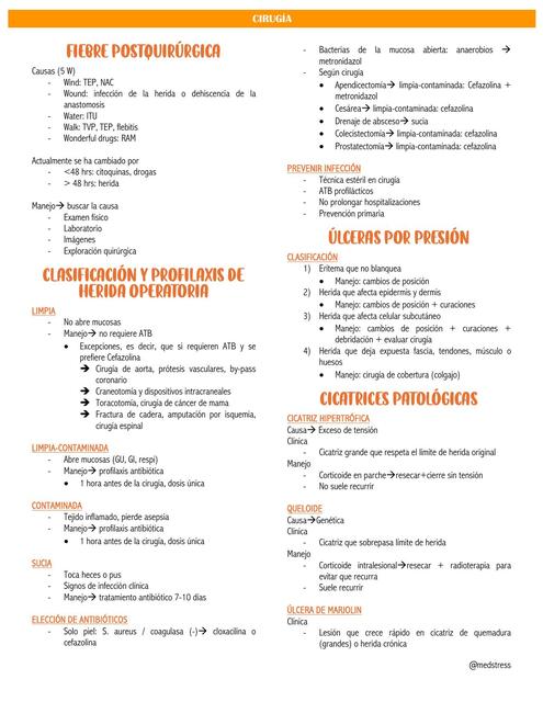 Cirugía | Paula | uDocz