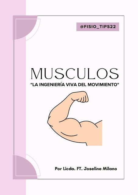 Musculos | Fisio Tips | uDocz