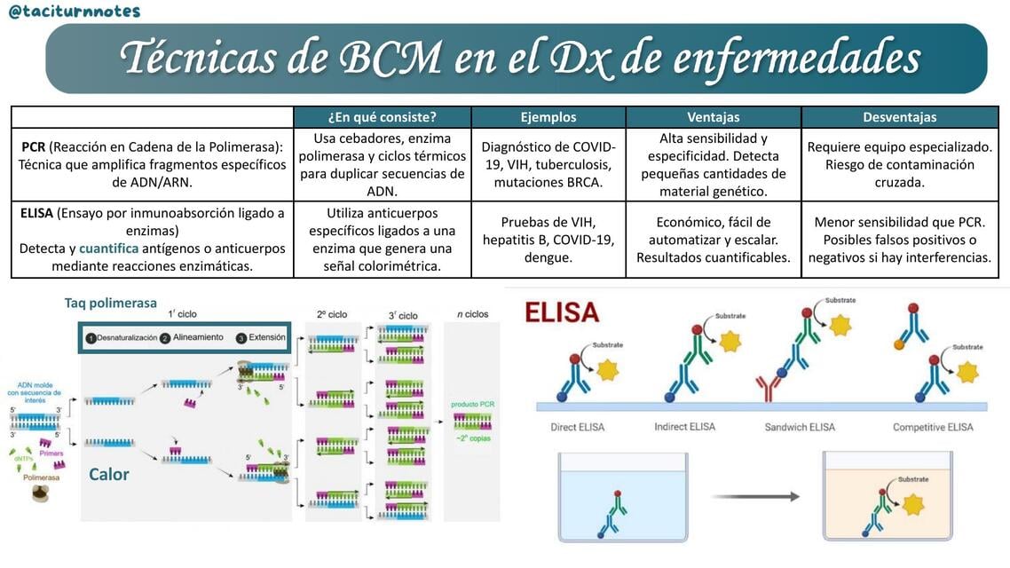 PCR y ELISA | Taciturn Notes | uDocz
