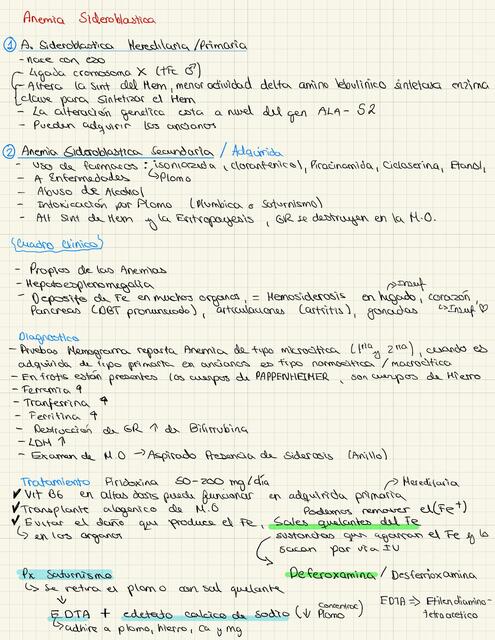 Flashcards de Anemia Sideroblastica | Por Mariam A. | uDocz