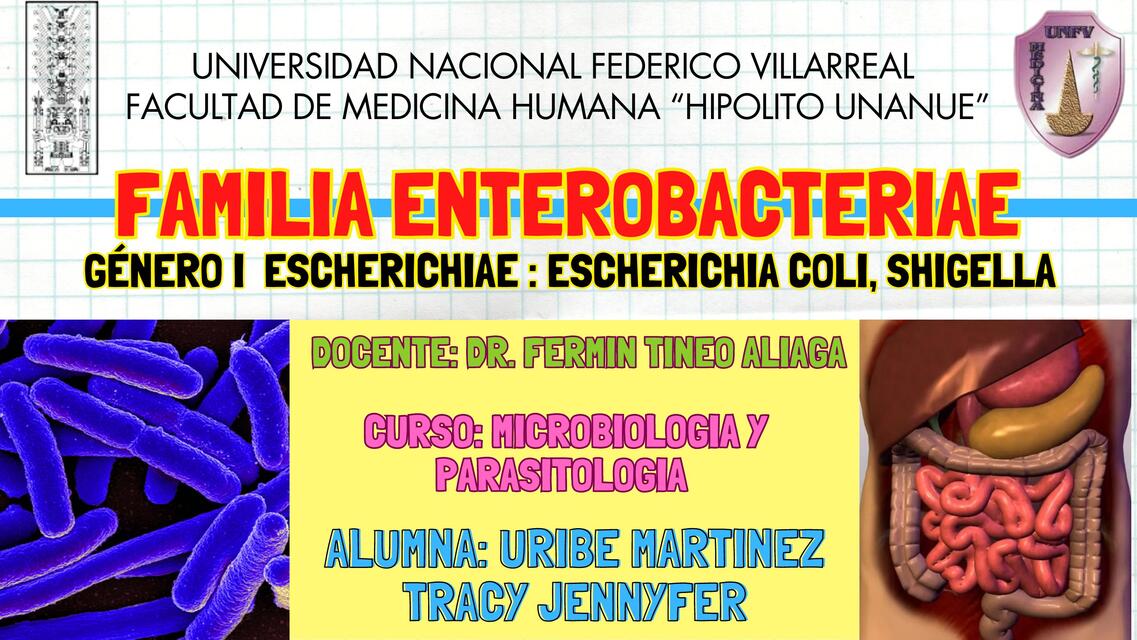 ENTEROBACTERIAS E COLI Y SHIGELLA 1 | Tracy Uribe Martinez | uDocz