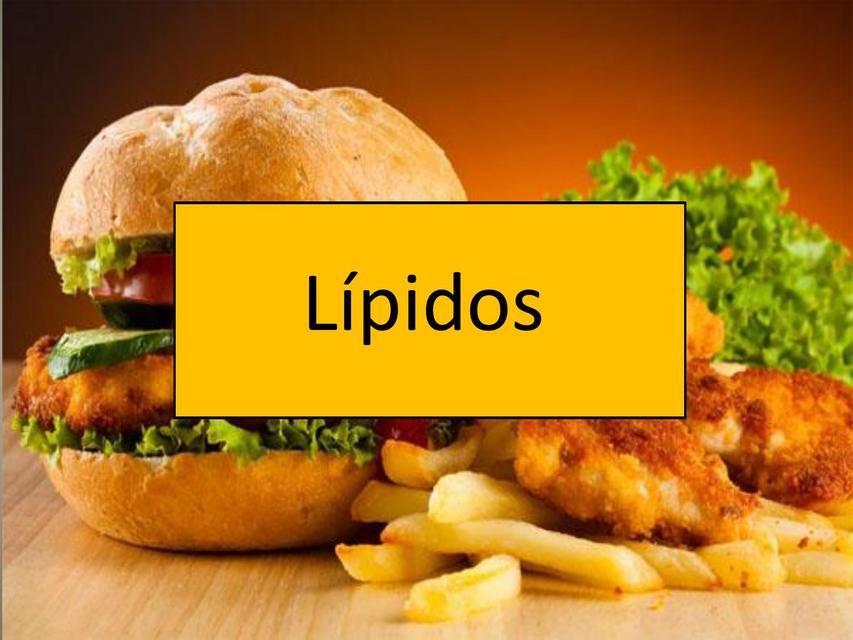 Lipidos | Dra.xmed☞📚🔬📄📒📓📔📕📖📘📔📑📙 | uDocz