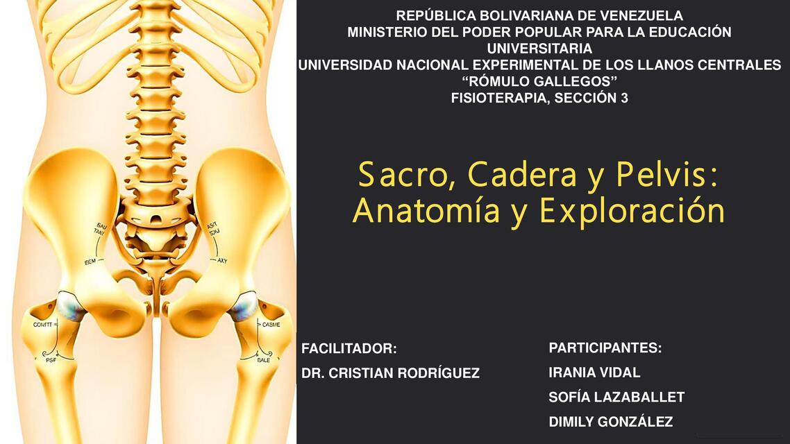 Sacro Cadera y Pelvis Anatomia y Exploracion | Irania Alexandra | uDocz