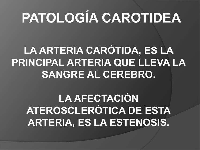 enfermedad carotidea | Florencia Juarez | uDocz