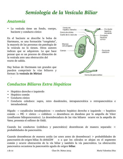 Semiologia de Vesicula y Vias Biliares | Maria Valentina | uDocz
