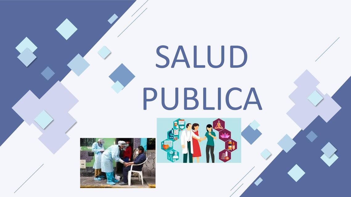 INTRODUCCION A SALUD PUBLICA | SHEGO | uDocz