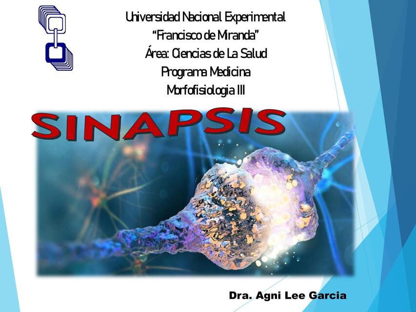 03 Sinapsis y Celulas Excitables | José Alberto | uDocz