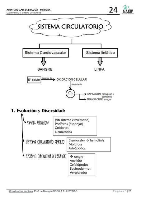 Sistema Circulatorio | HemoStudent | uDocz