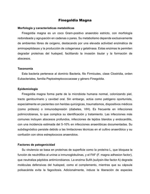 Finegoldia magna, factores de patogenicidad, morfología ...