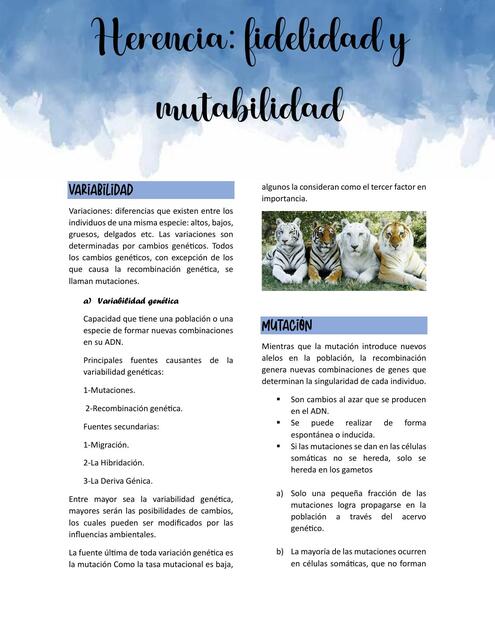 Herencia fidelidad y mutabilidad-Biología general | Lianys | uDocz