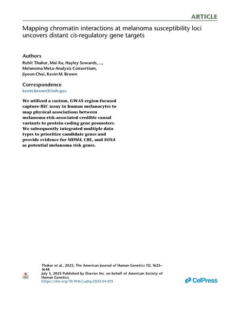 Mapping chromatin interactions at melanoma suscept | Emely Corina ...
