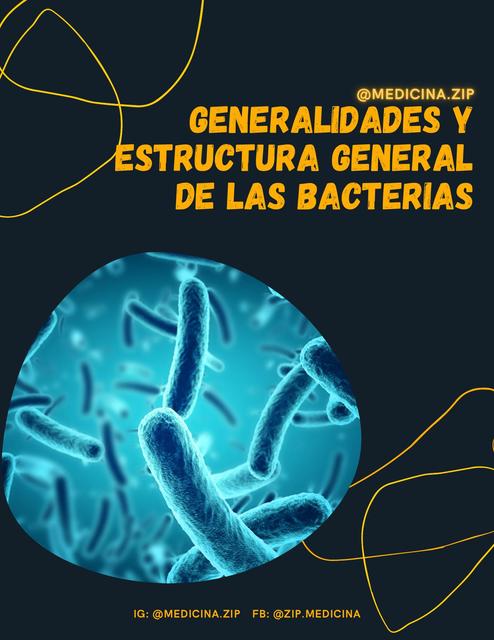 GENERALIDADES Y ESTRUCTURA GENERAL DE LAS BACTERIAS | Medicina.zip | uDocz