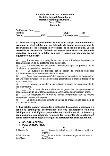 Examen Morfo Pato 1 1 | Alexander Perez | uDocz