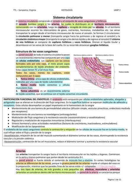 DOC WA Copy | Beatriz | uDocz