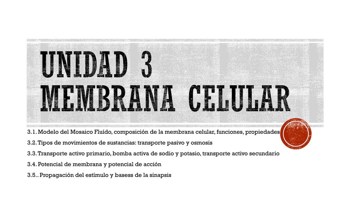 UNIDAD 3 LA MEMBRANA 1 | Angeles | uDocz