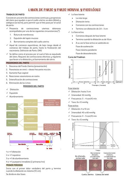 Labor de parto de parto normal y patológico | Dra. Meow | uDocz