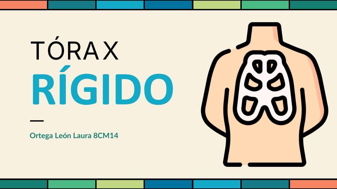 Tórax Rígido/Madera/Leñoso | Rothko | uDocz