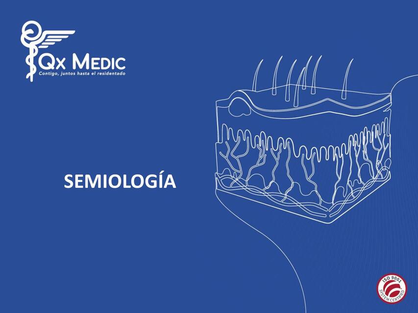 Fundamentos Dermatología | Mariam A. | uDocz