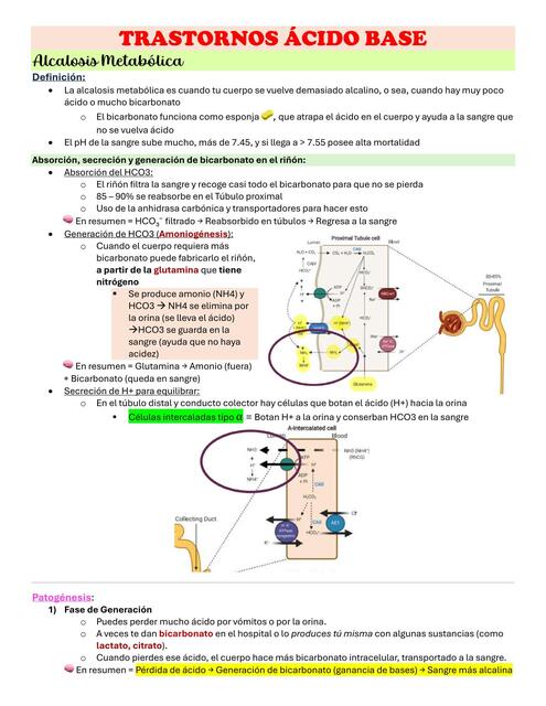 TRASTORNOS ÁCIDO BASE | Lady Carrasco | uDocz