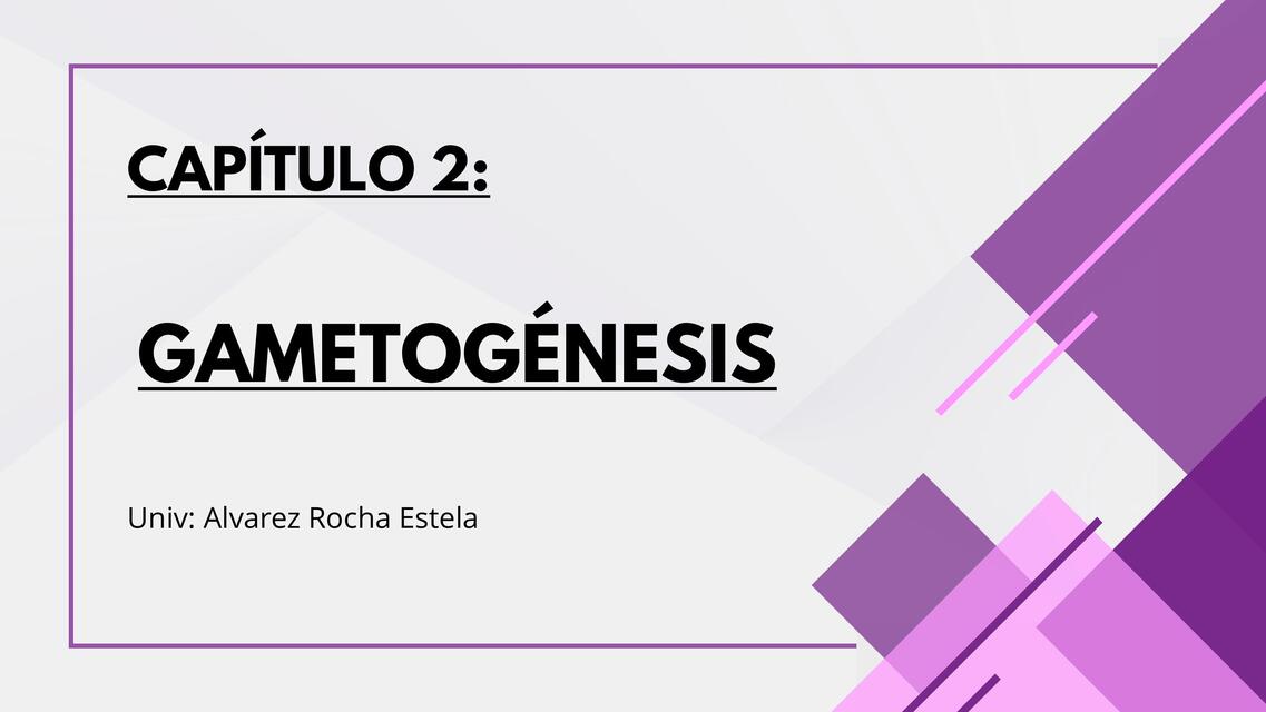 Gametogenesis | Michael argote | uDocz