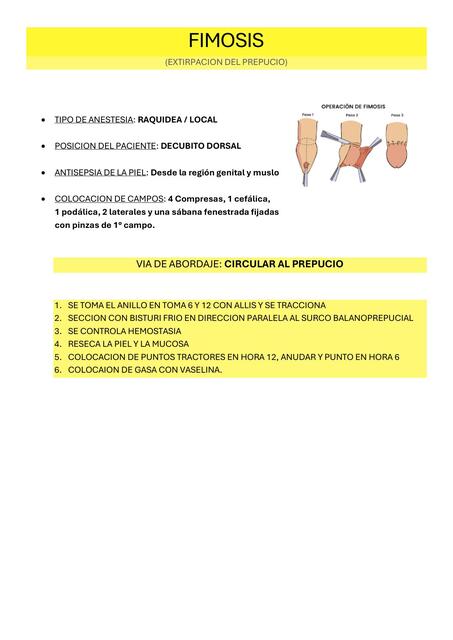 Tecnica Quirurgica: FIMOSIS | Dina llanos | uDocz