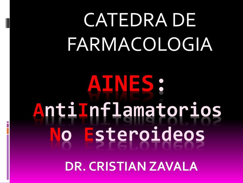 AINES corregido | B.A | uDocz