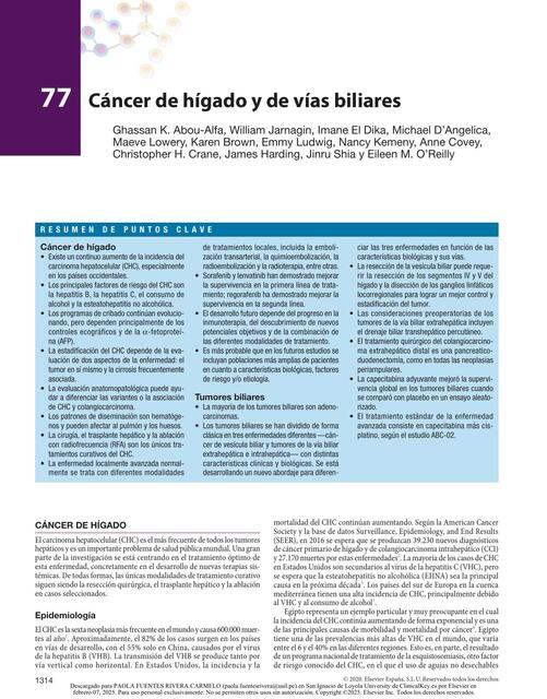 21 CANCER HIGADO Y VIAS BILIARES | Geraldine :) | uDocz