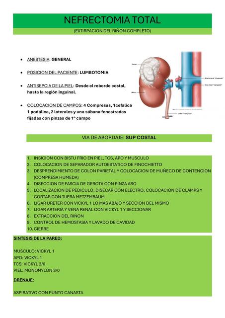 Flashcards de Tecnica Quirurgica: NEFRECTOMIA TOTAL | Por Dina llanos ...