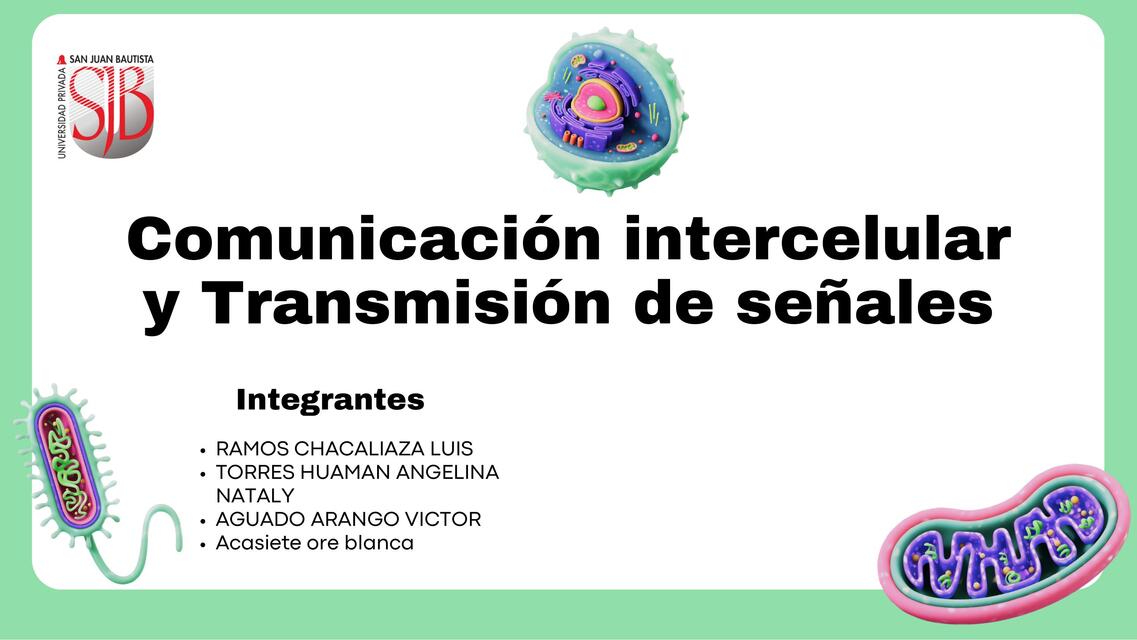 Flashcards de Comunicación intercelular y | Por Blanca | uDocz