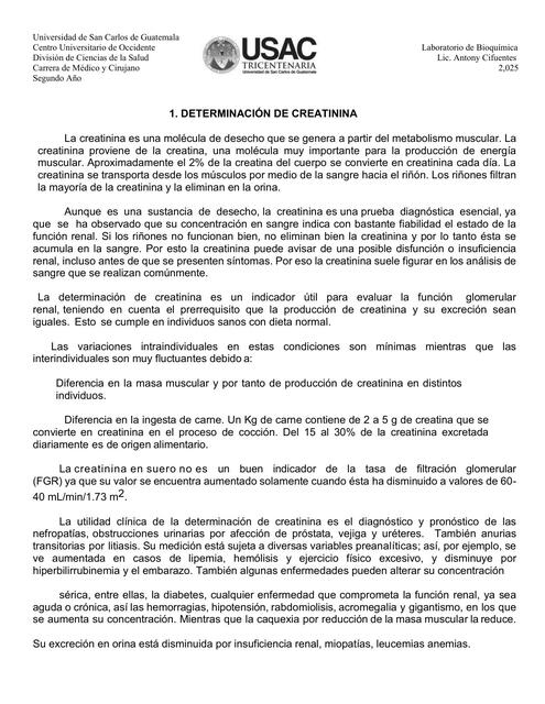 Determinación de Creatinina y BUN | Jhon | uDocz