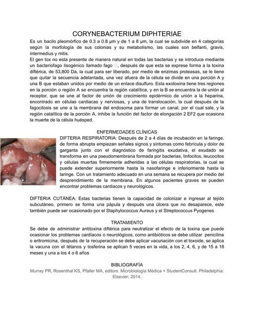 CORYNEBACTERIUM DIPHTERIAE | MUAWWAZ | uDocz