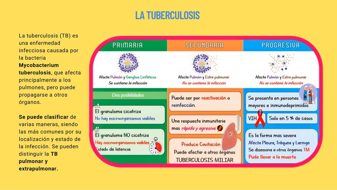 Tuberculosis Esquema de vacunación | Monds | uDocz