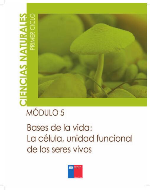 LA CÉLULA | Silvia | uDocz